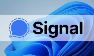 Comment installer Signal sur Windows 11 - Info24Android