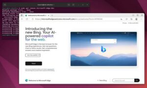 Comment installer Microsoft Edge sur Linux - Info24Android