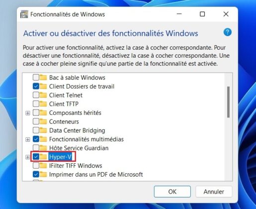 Installer des fonctionnalités facultatives dans Windows 11
